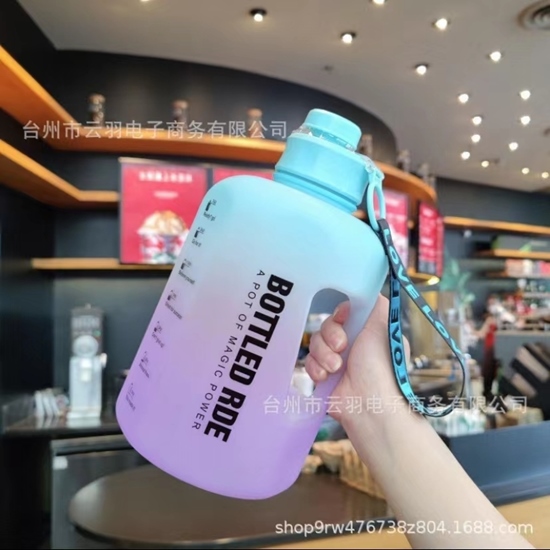 BOTELLA DE 2 LITROS MULTICOLOR 369