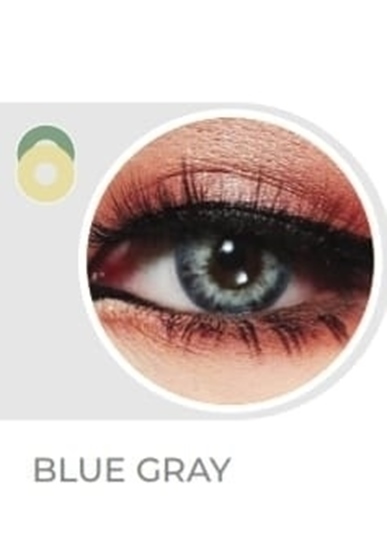 DNA TAYLOR BLUE GRAY